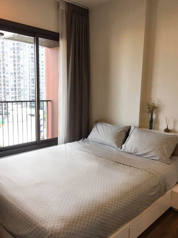 Scancondo | ให้เช่า คอนโด วายน์ สุขุมวิท ชั้น 8 วิวสระ เฟอร์ครบ พร้อมอยู่ เินทางสะดวก ห้ามพลาด!!